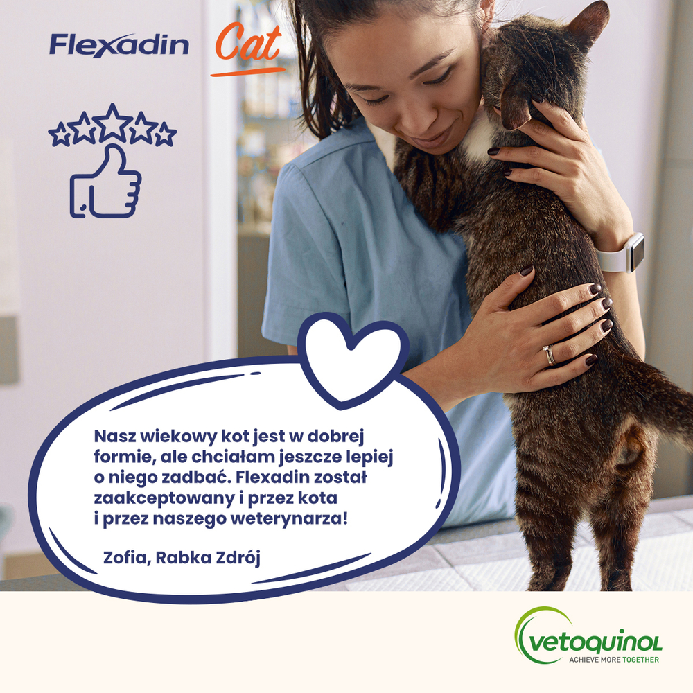 VETOQUINOL Flexadin Cat 60kąsków | Sklep zoologiczny ZooArt